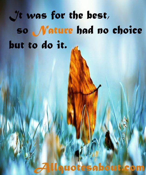 293+ Nature Quotes And Saying