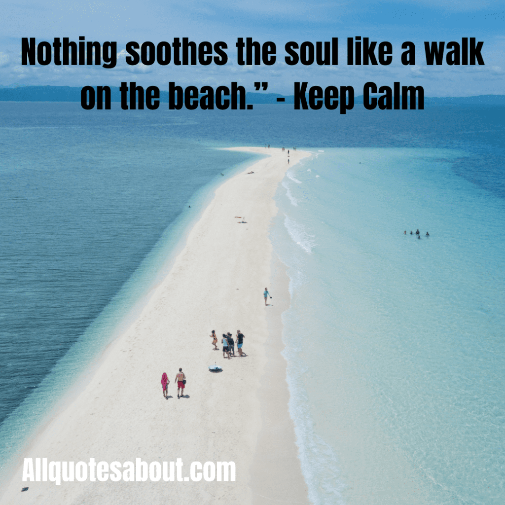 246+ Beach Quotes And Saying