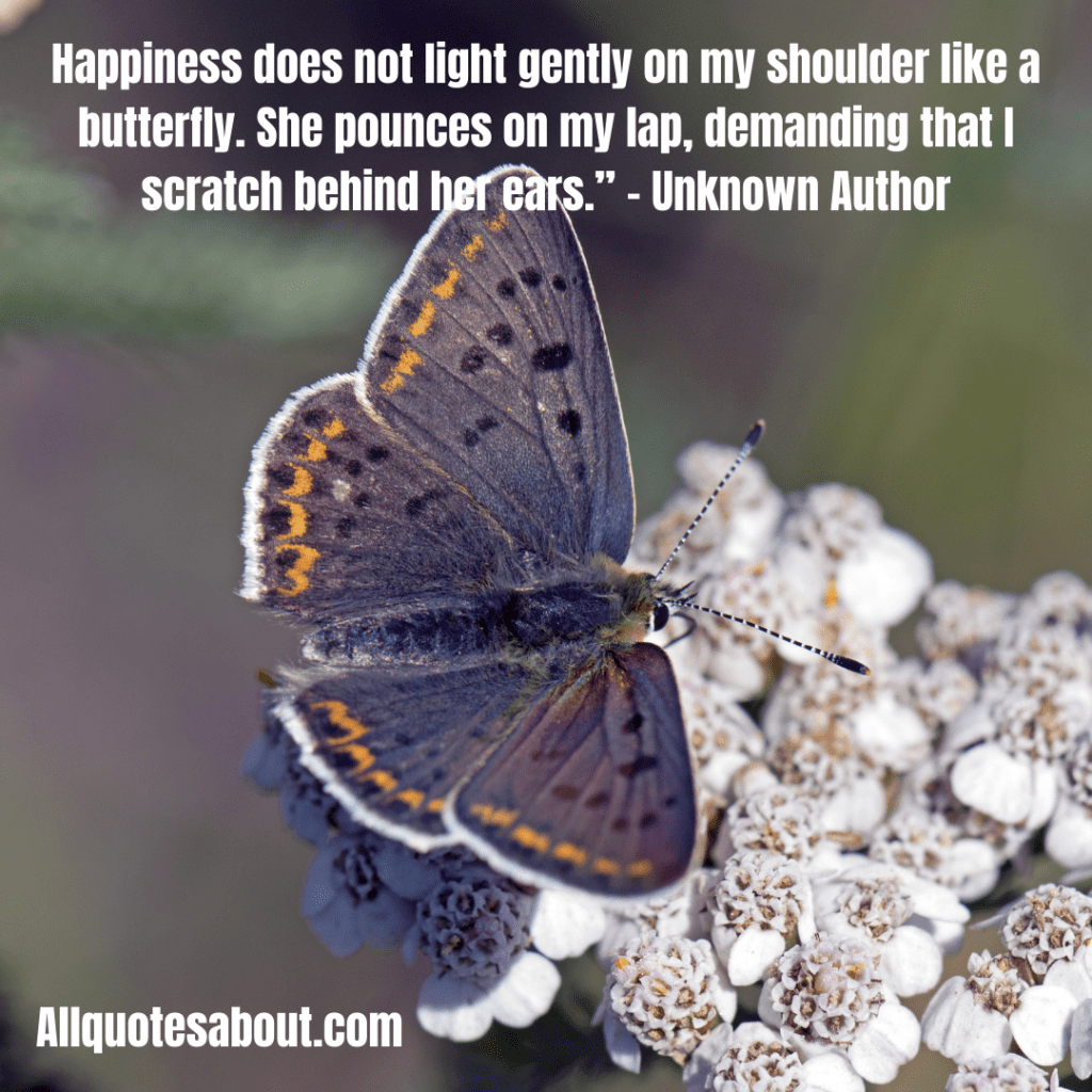 194+ Butterfly Quotes And Saying