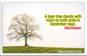 157+ December Quotes And Saying
