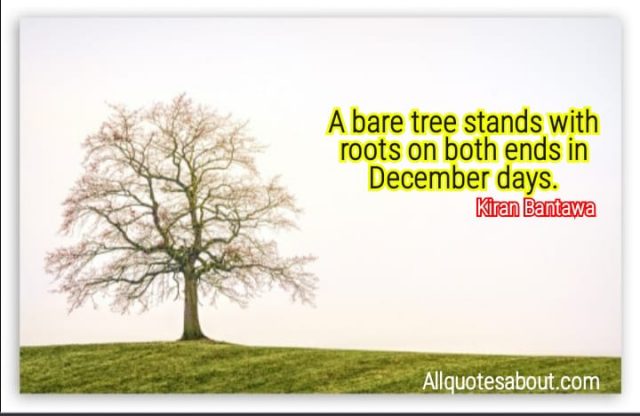 157+ December Quotes And Saying