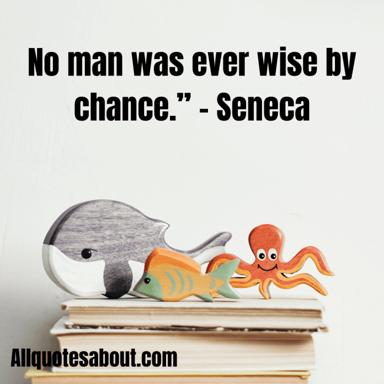 278+ Wisdom Quotes That Will Change Your Perspective Forever