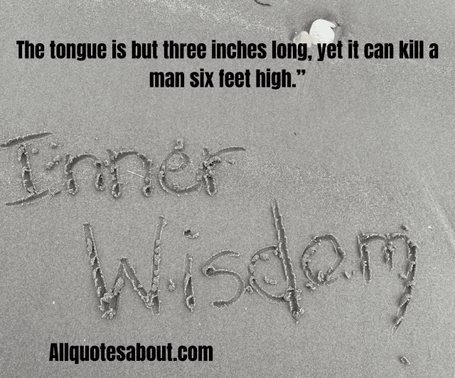 278+ Wisdom Quotes That Will Change Your Perspective Forever